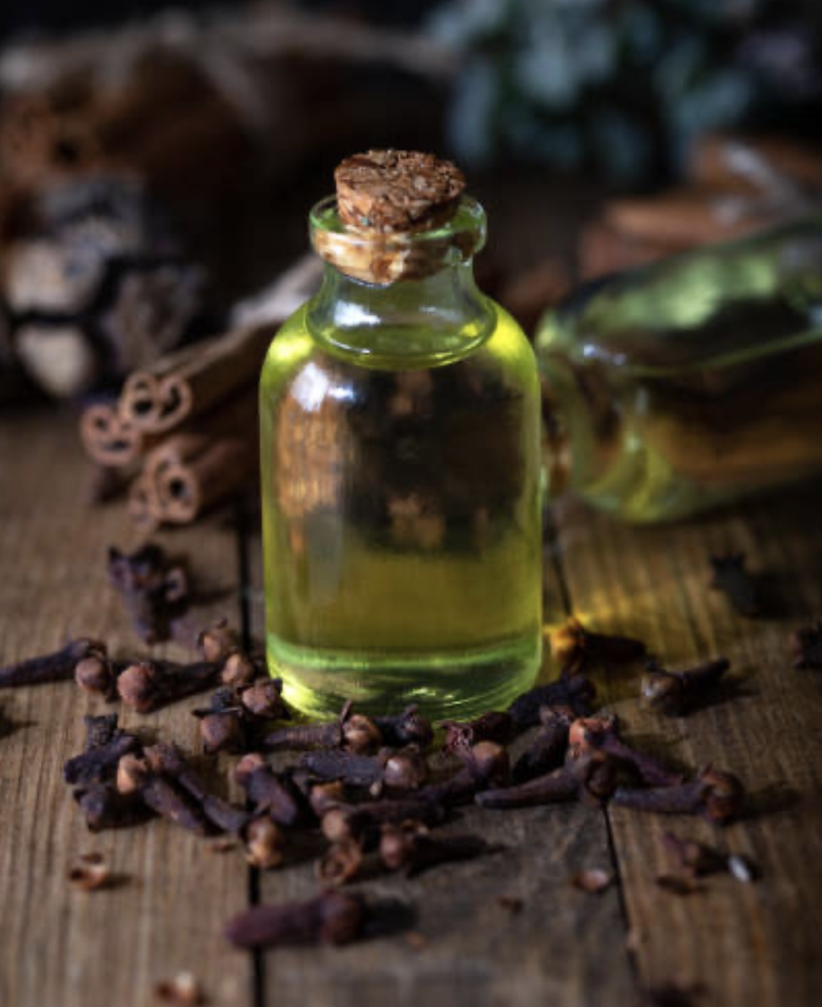 The Many Benefits Of Cloves - Mother Terra Heals